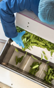 PML provide world class logistics and supply chain solutions.